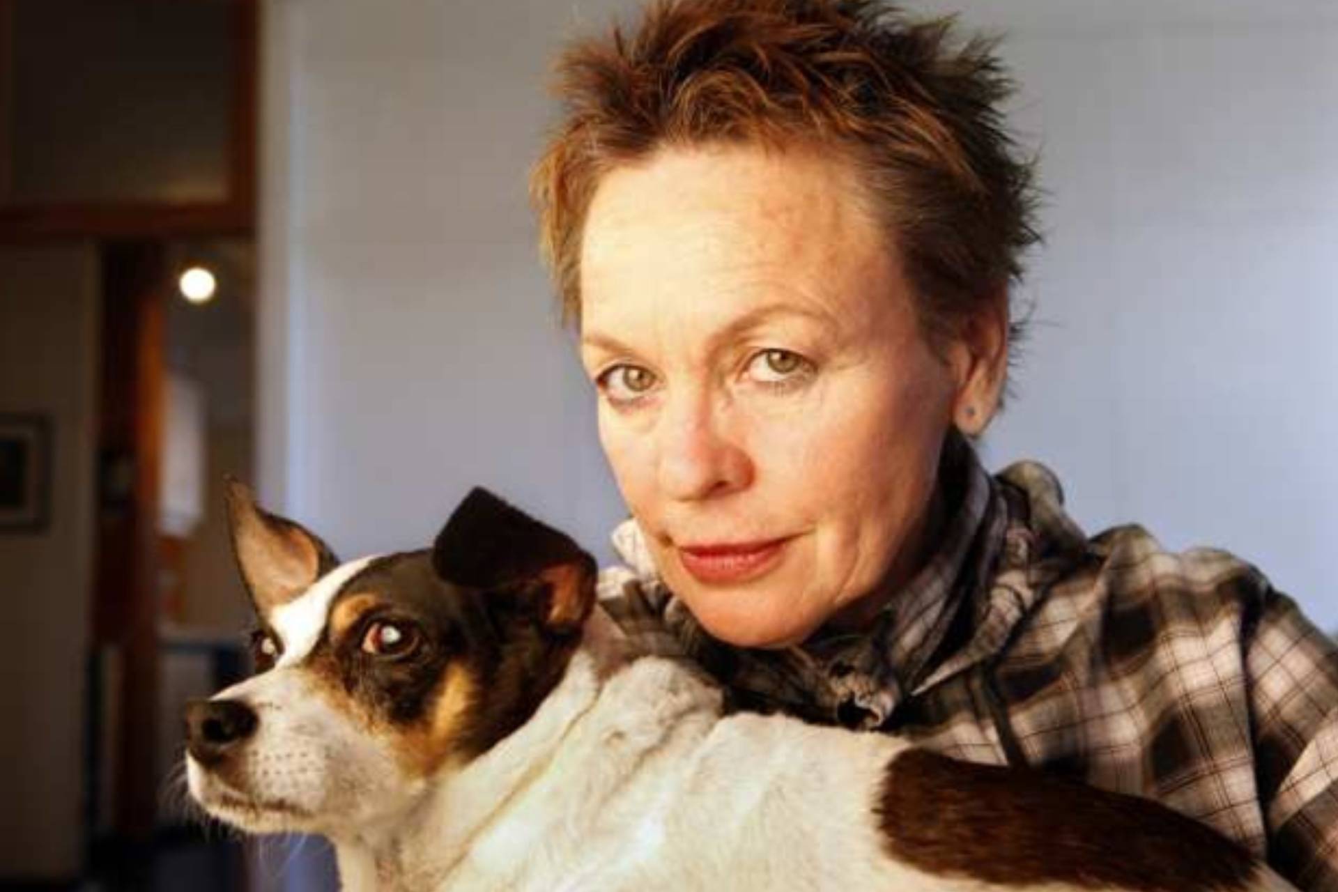 Vuelve el Cineclub con «Heart of a dog» – Entre Ríos Ahora